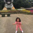 March forward courageously的抖音 - 抖音