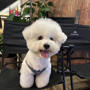 xixixixi&的抖音 - 抖音