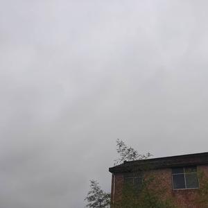 春蕾的抖音 - 抖音