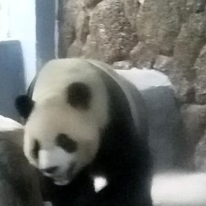 bbdj的抖音 - 抖音