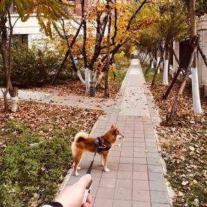 Mr.LLLLLL的抖音 - 抖音