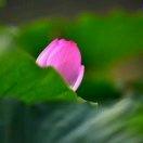 HGyyy的抖音 - 抖音