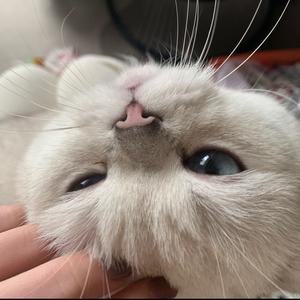 世一美Yut的抖音 - 抖音