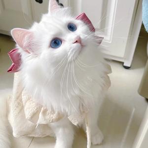 Vickyyyiii的抖音 - 抖音