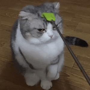 用户12345578的抖音 - 抖音