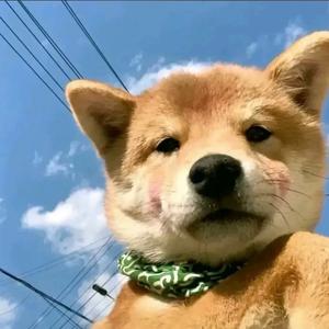 S-tars.的抖音 - 抖音