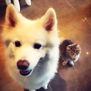 M Tang的抖音 - 抖音