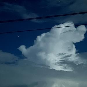 LYYY的抖音 - 抖音