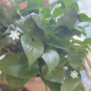 Asdfghjkl的抖音 - 抖音