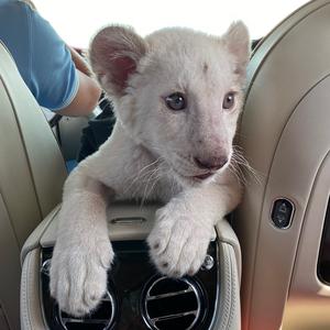 HappyL的抖音 - 抖音