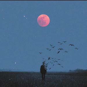 ㅤㅤㅤㅤㅤㅤㅤㅤㅤㅤㅤㅤ的抖音 - 抖音