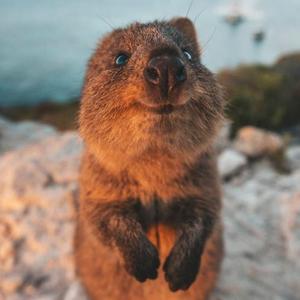 Kbao游戏主播的主页 - 抖音