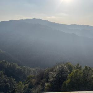 啥子的抖音 - 抖音