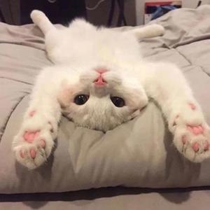 Jnnnnn的抖音 - 抖音