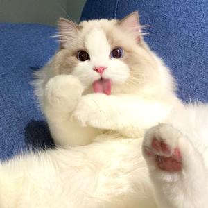 grapelu的抖音 - 抖音