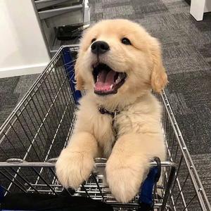 GUuu-Y的抖音 - 抖音