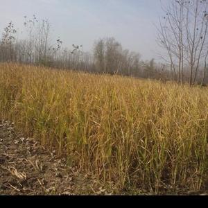 12389的抖音 - 抖音