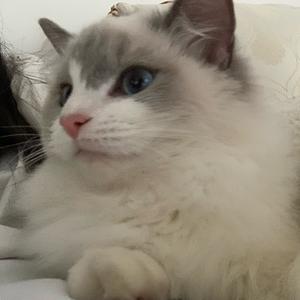 ^Lcelloi.的抖音 - 抖音