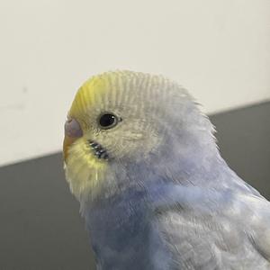 Hdhdh的抖音 - 抖音