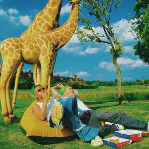 Vansdaddy（VD）的抖音 - 抖音