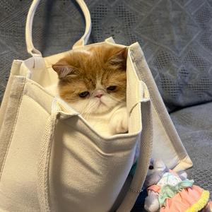 lllllli的抖音 - 抖音