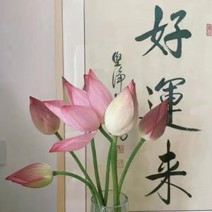 南𬃊的抖音 - 抖音