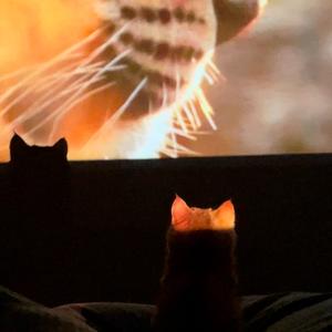 lllllllllllll的抖音 - 抖音