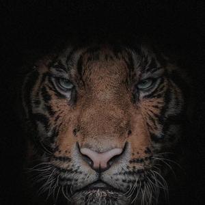 hshshsh的抖音 - 抖音