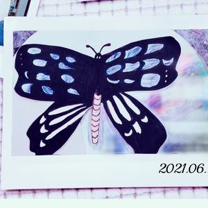 Amy_kuang的抖音 - 抖音