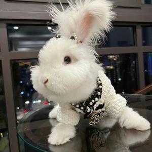 YNING的抖音 - 抖音