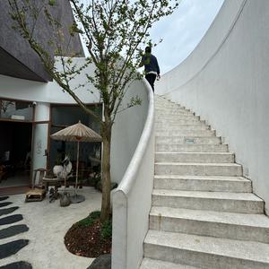 Tiger_wu的抖音 - 抖音