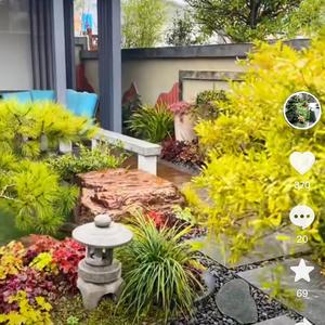 Nnnnnnn的抖音 - 抖音