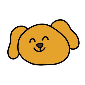 大笨狗之家的抖音 - 抖音