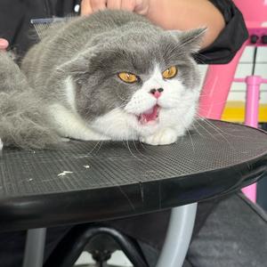 wqqqQ的抖音 - 抖音