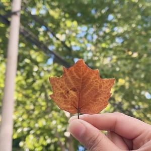 Ghfghfg的抖音 - 抖音