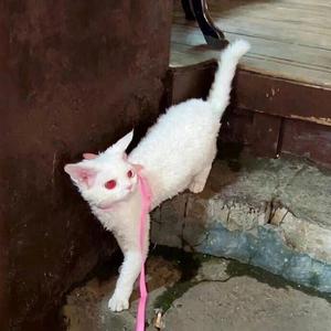 Pppppppppp的抖音 - 抖音