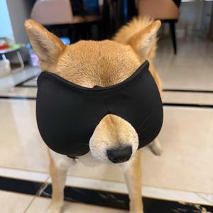 Ricre的抖音 - 抖音