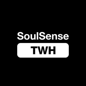 SoulSense TWH的抖音 - 抖音