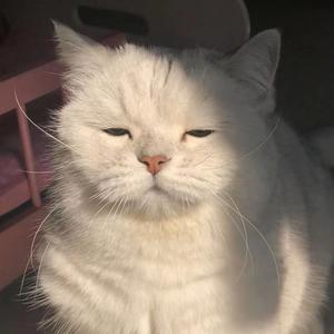 jkllll的抖音 - 抖音