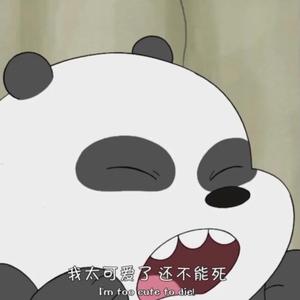 熊熊Yyds的主页 - 抖音