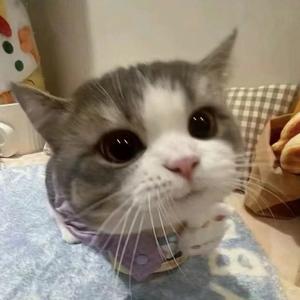 Hjhhh.的抖音 - 抖音