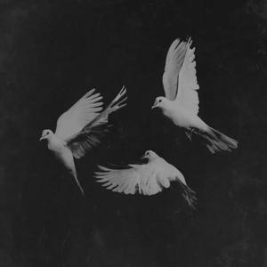 幻听.的抖音 - 抖音