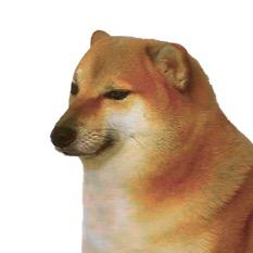 Cheems的抖音 - 抖音