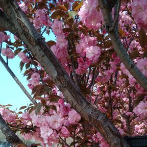 yuiop的抖音 - 抖音