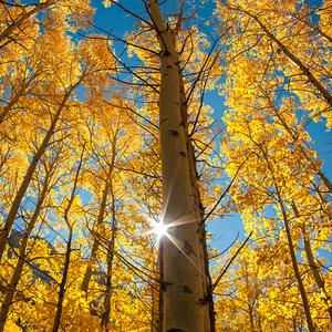 dsaasd的抖音 - 抖音