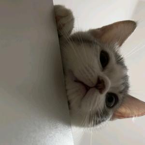 ppppppppppppppppp的抖音 - 抖音