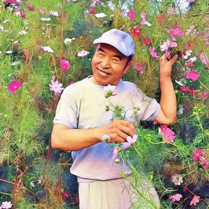 hhggh的抖音 - 抖音