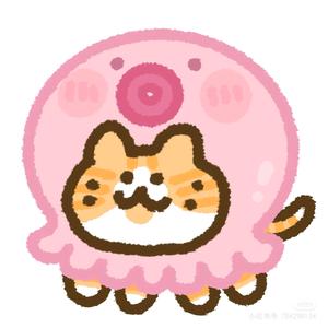Octopus cat的抖音 - 抖音