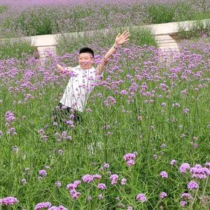 pppp的抖音 - 抖音