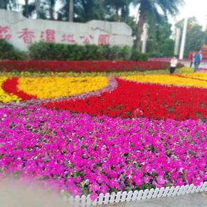 fggghhh的抖音 - 抖音